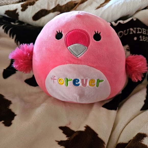 Squishmallows | Toys | Squishmallow Cookie The Pink Flamingo Forever ...